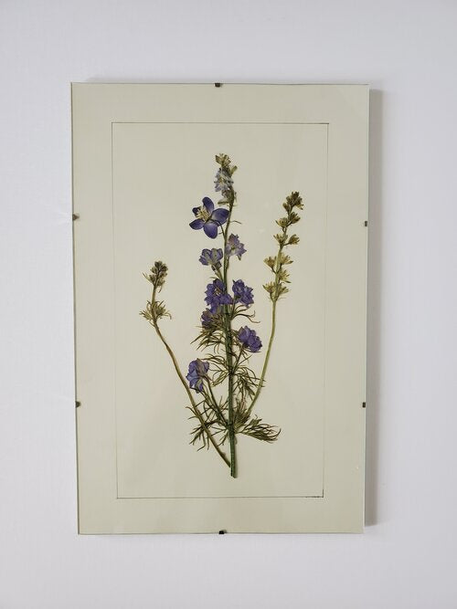 Minimalist Frame | Larkspur – Preservation Press