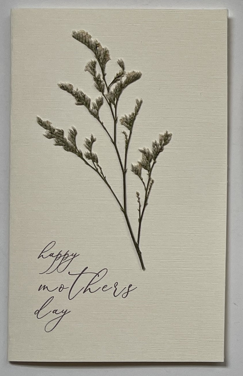 Mod Mom Mother's Day Package – Preservation Press