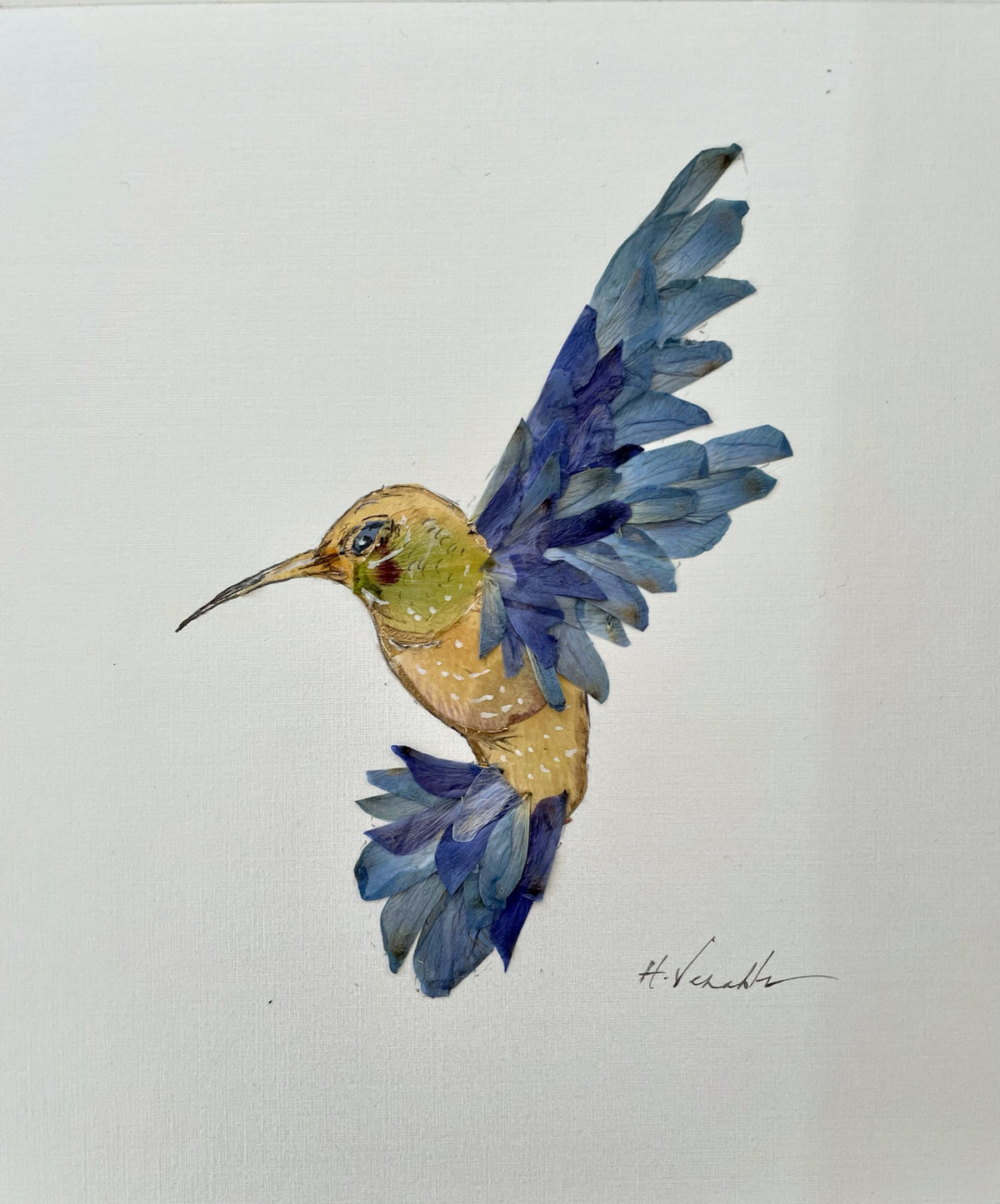 Hummingbird 2 | Hellebore – Preservation Press