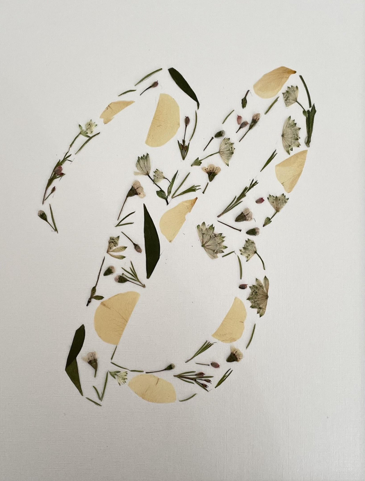 Flora Lettering – Preservation Press